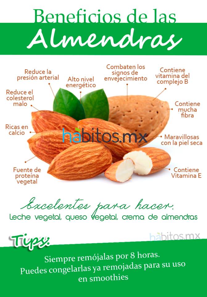 Beneficios de las almendras – Hábitos Health Coaching Beneficios de las almendras – Hábitos Health Coaching