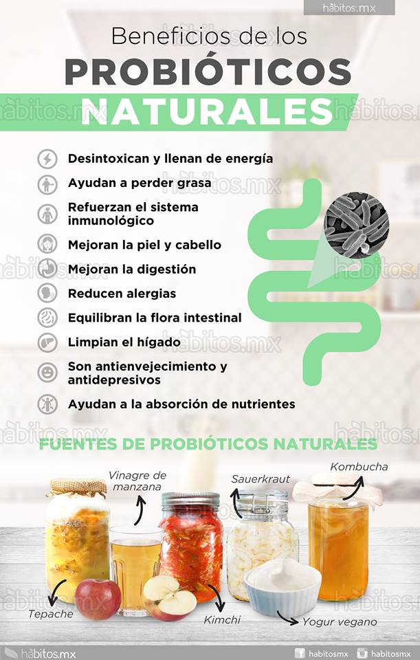 Beneficios De Los ProbiÓticos Naturales Hábitos Health Coaching